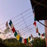 Flags – BubbeWisdom